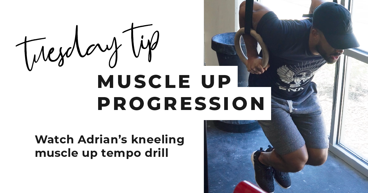 Muscle Up Progression Week 1 – FNX